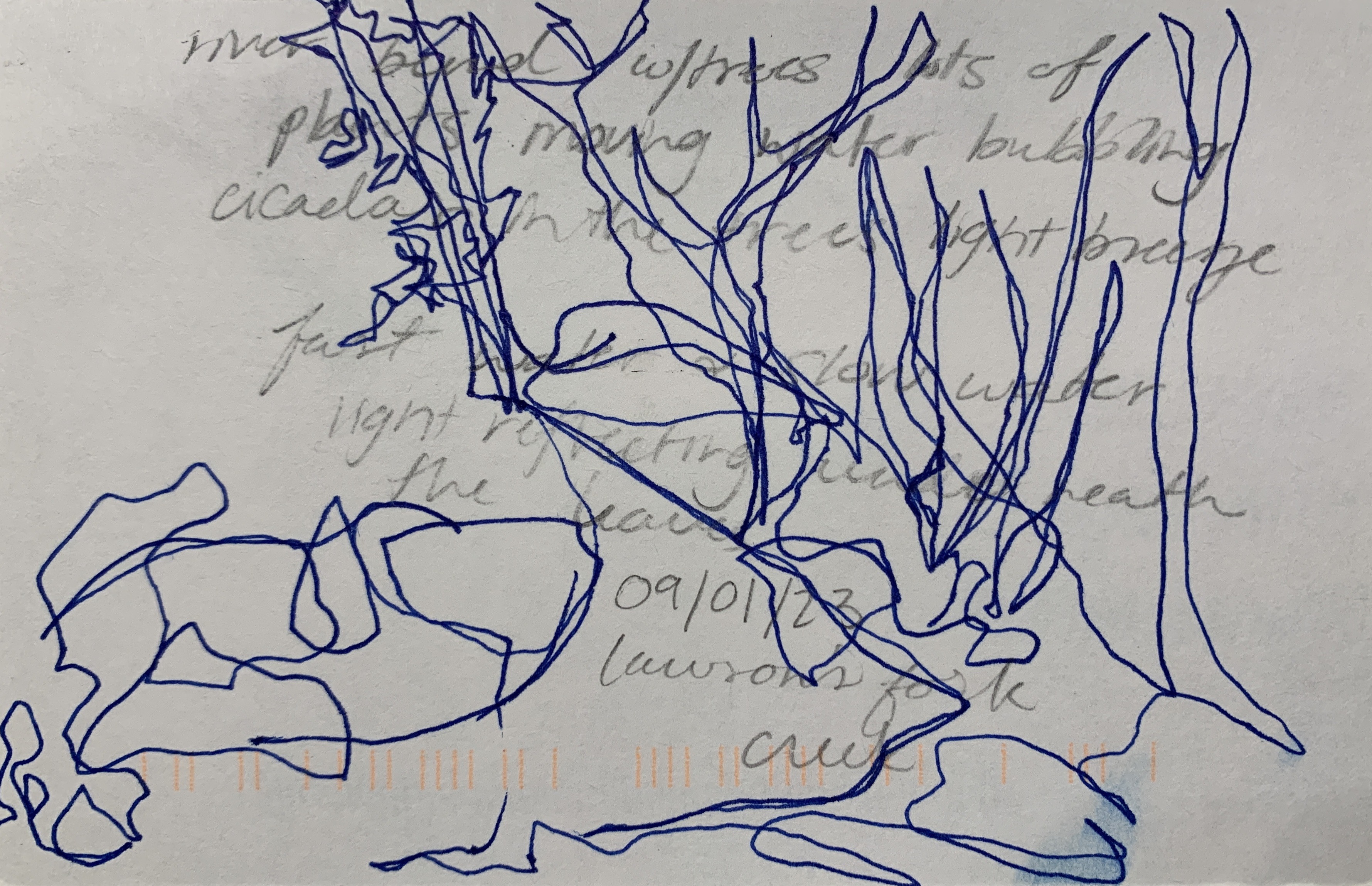 artifacts of attention – nancy lowe